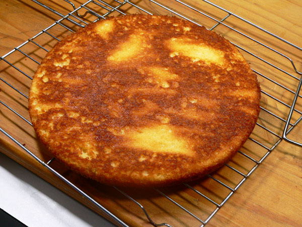 Nine Layer Chocolate Cake Recipe - Taste Of Southern