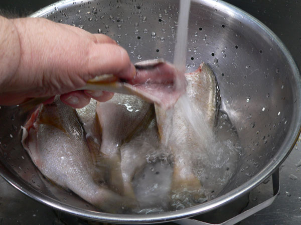 Pan Fried Spots Recipe - Taste Of Southern